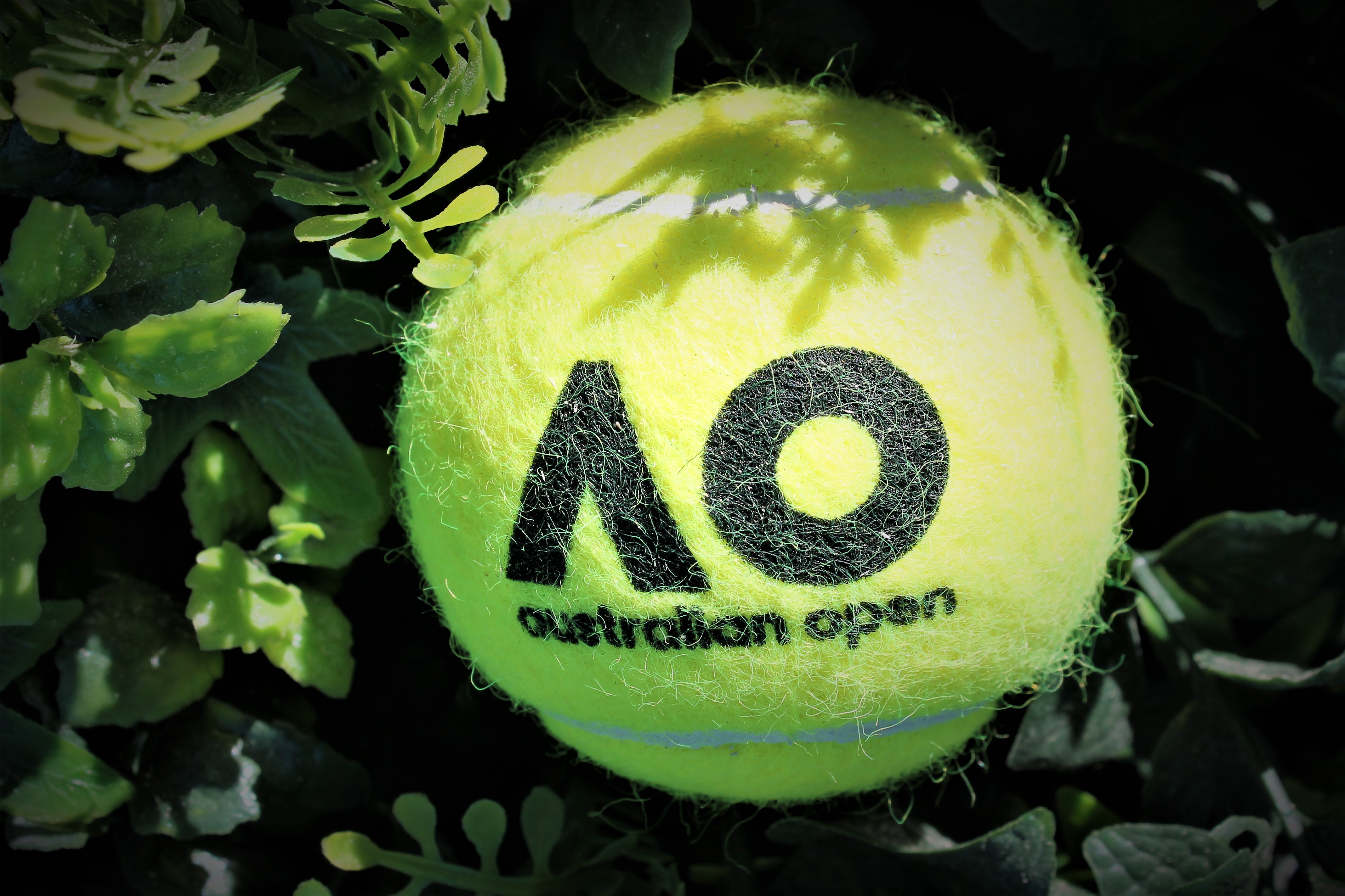 australian open ball